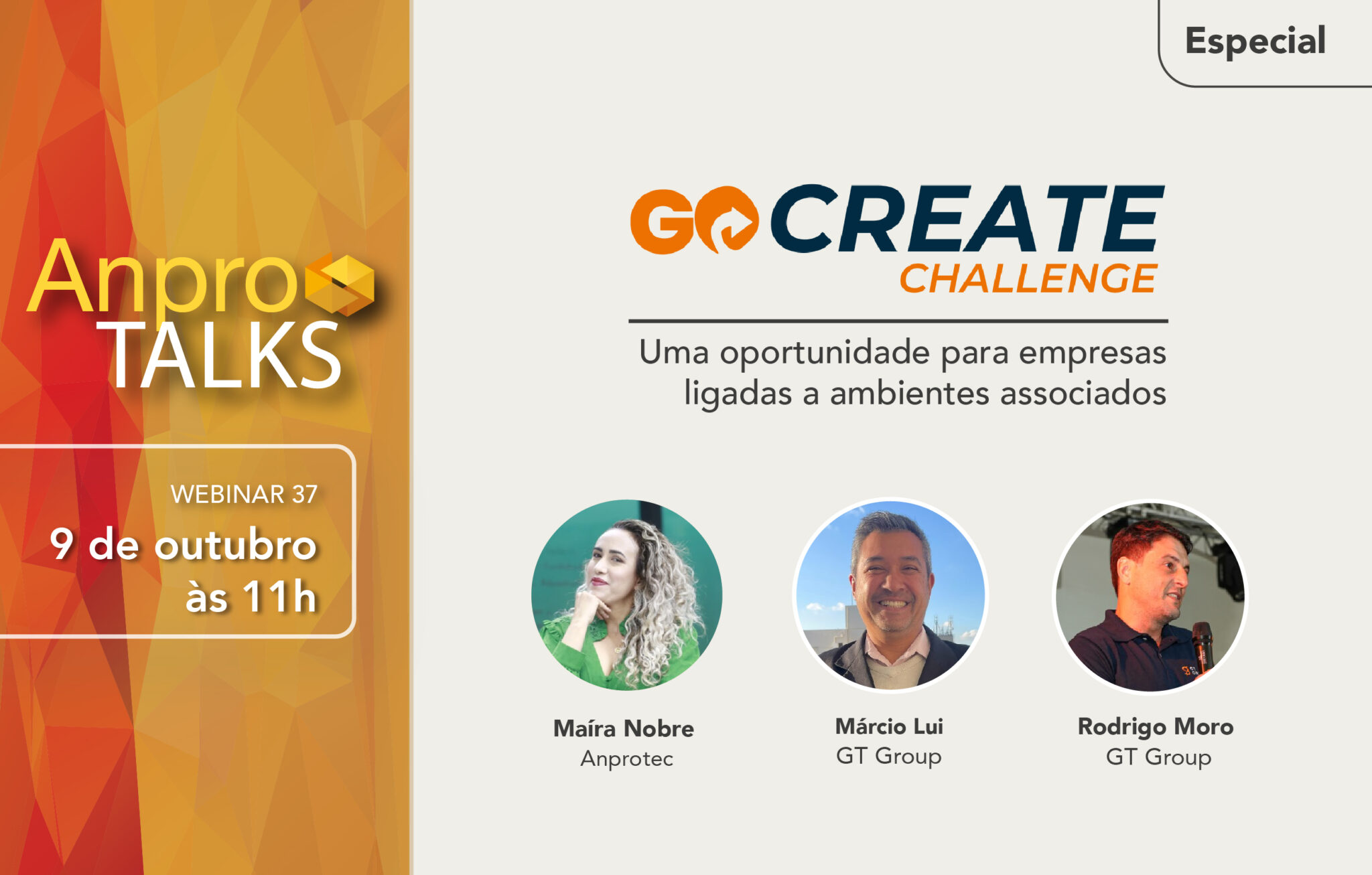 Anprotec e GT Group promovem AnproTalks sobre chamada GoCreate ...